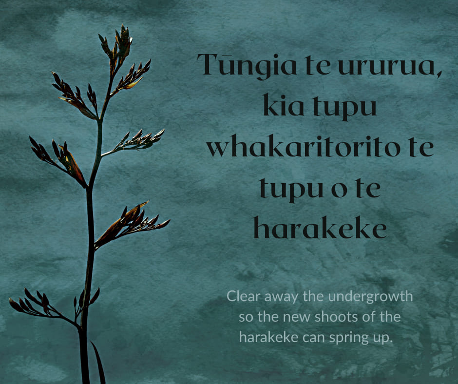 Whakataukī wisdom | Louisa Woods Counselling